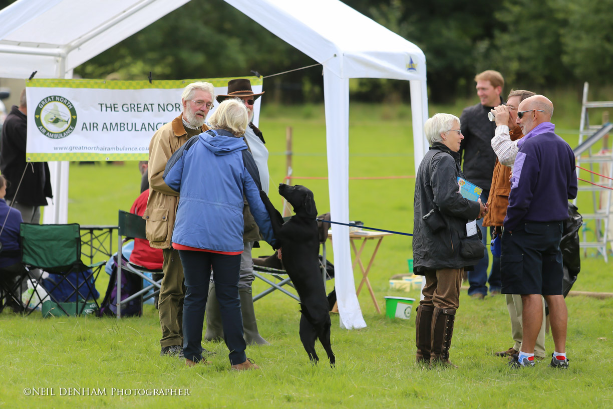 2014 – Falstone Border Shepherds' Show