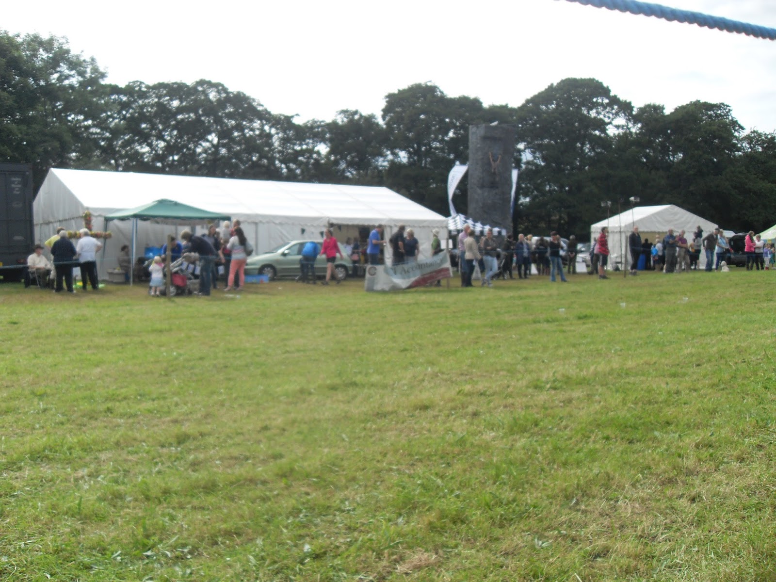 2015 – Falstone Border Shepherds' Show