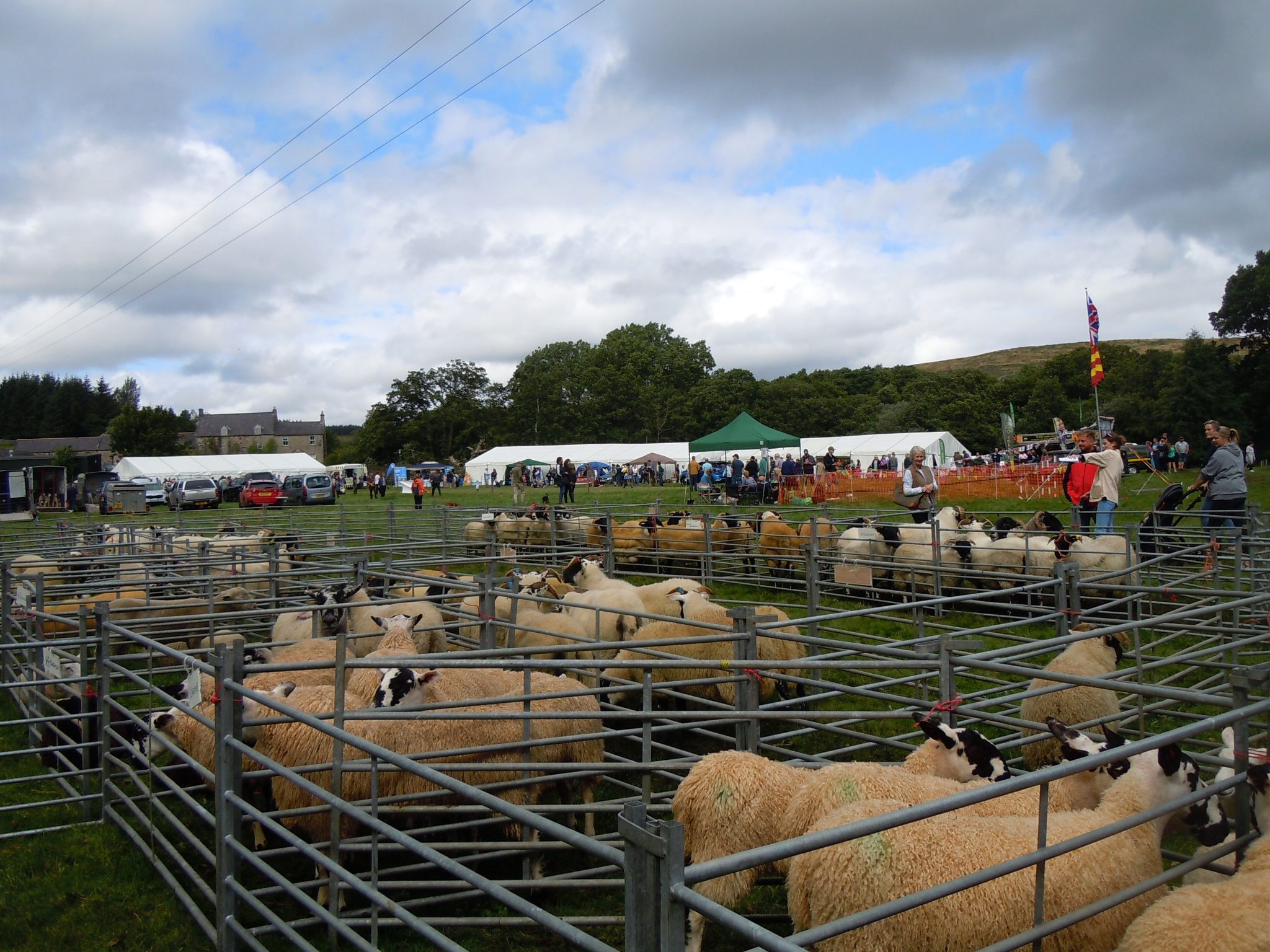 Falstone Border Shepherds' Show