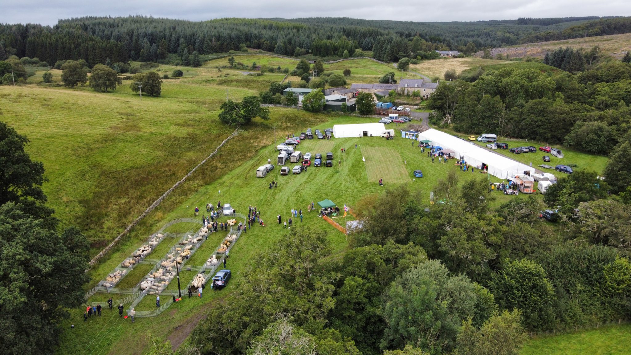 Falstone Border Shepherds' Show