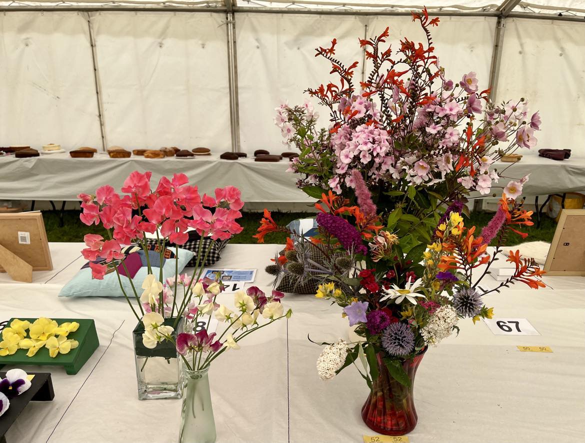 2024 Gallery – Falstone Border Shepherds' Show